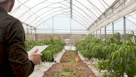 smart farming green house | Stock Video | Pond5