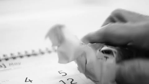 Smashed pages of a calendar and a palm h... | Stock Video | Pond5