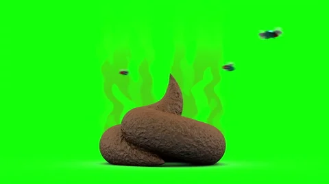 Smelly Poop with flies. 3D animation in ... | Stock Video | Pond5