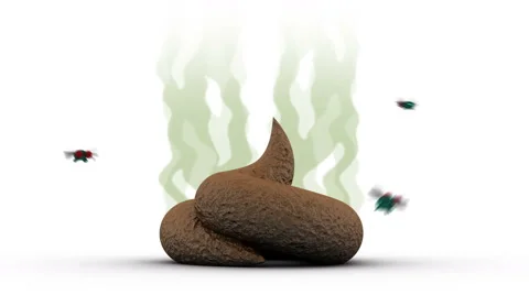 Smelly Poop with flies. 3D animation in ... | Stock Video | Pond5