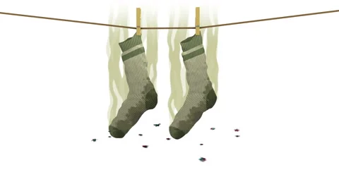 Socks Cartoon Stock Videos – Royalty-Free HD & 4K Videos | Pond5