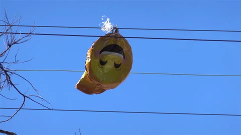 Birthday Smiley Face Stock Videos – Royalty-Free HD & 4K Videos