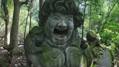 Smiling Monkey Face Stock Videos – Royalty-Free HD & 4K Videos | Pond5