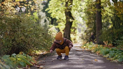 Smiling kid picks the chestnuts from the... | Stock Video | Pond5