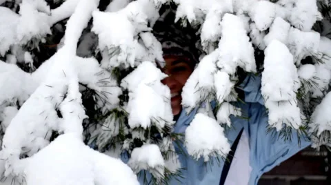 Woman Tree No Stock Videos – Royalty-Free HD & 4K Videos | Page 3