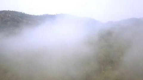 Smog of forest fires. Deforestation and ... | Stock Video | Pond5