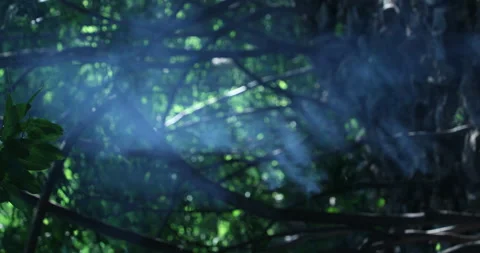 Smoke on black background in Boonlight | Stock Video | Pond5
