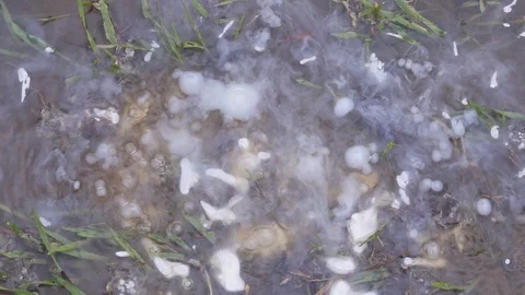 Smoke bubbling from the surface of puddl... | Stock Video | Pond5