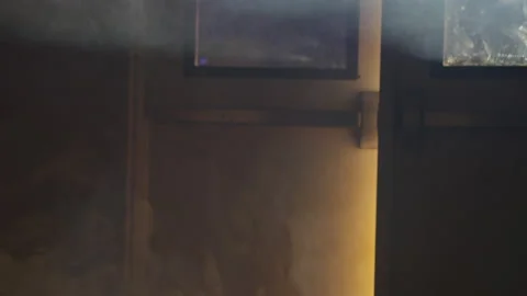 Smoke in Front of Double Doors with Poli... | Stock Video | Pond5