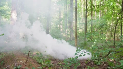 Gun Smoke Green Screen Stock Footage ~ Royalty Free Stock Videos | Pond5