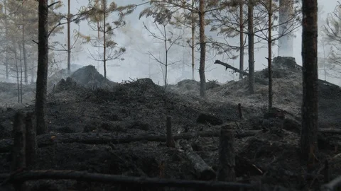 Smoke On The Ground Stock Video Footage | Royalty Free Smoke On The ...