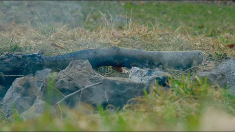 Gone Smoke People Stock Videos – Royalty-Free HD & 4K Videos