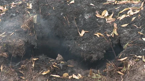 Smoke From Underground During Peat Fire,... | Stock Video | Pond5