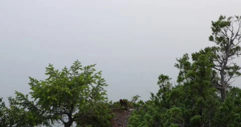 Smokey day caused by forest fires and I ... | Stock Video | Pond5