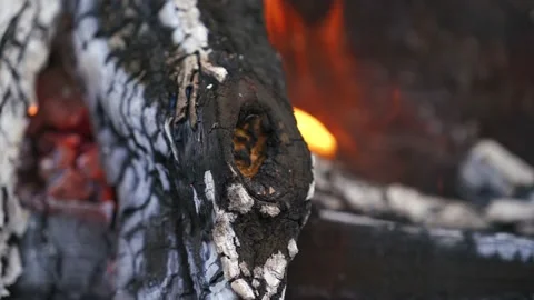 Smoldering log. Black and white wooden l... | Stock Video | Pond5