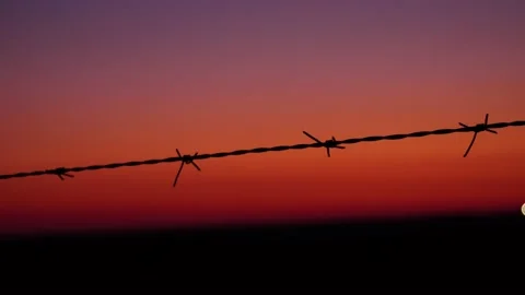 Smooth Pan Over Barbed Wire with Pink Sk... | Stock Video | Pond5