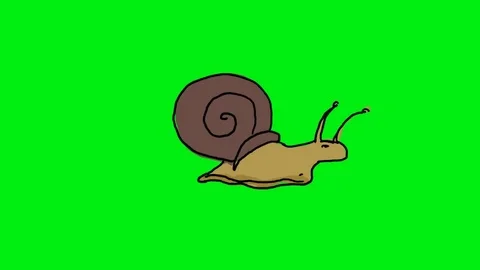 snail - Hand Drawn - Green Screen | Stock Video | Pond5