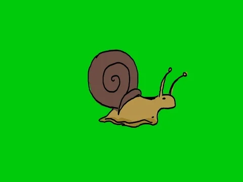 snail - Hand Drawn - Green Screen - SD | Stock Video | Pond5