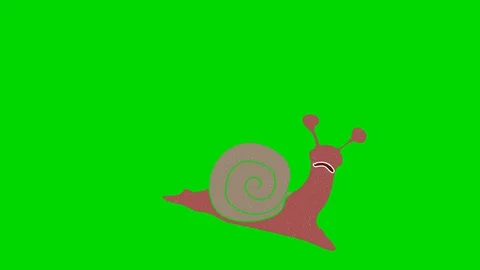 Snail hand drawn green screen. floating ... | Stock Video | Pond5