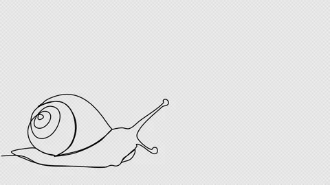 Snail. One line drawing animation with a... | Stock Video | Pond5