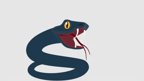 Snake. Animation of an animal viper with... | Stock Video | Pond5