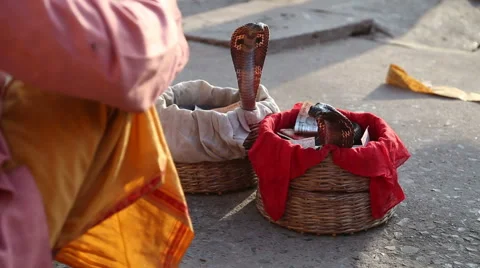 Charmed Stock Videos – Royalty-Free HD & 4K Videos