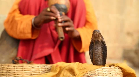 Charmed Stock Videos – Royalty-Free HD & 4K Videos