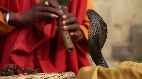 Charmed Stock Videos – Royalty-Free HD & 4K Videos