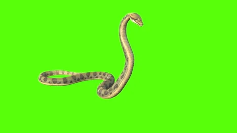 Snake Bite Green Screen Animation and 3D... | Stock Video | Pond5
