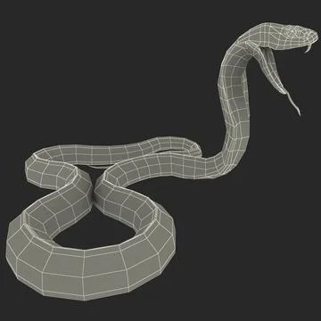 Snake Cobra Pose 4 ~ 3D Model ~ Download #89226986 | Pond5