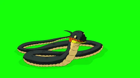 Keying Snake Stock Footage ~ Royalty Free Stock Videos | Pond5