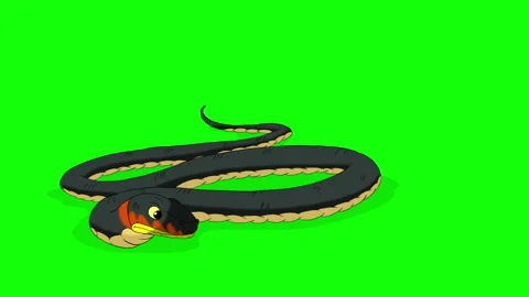 Keying Snake Stock Footage ~ Royalty Free Stock Videos | Pond5