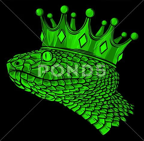 Snake Crown on black background design Vector illustration: Graphic ...