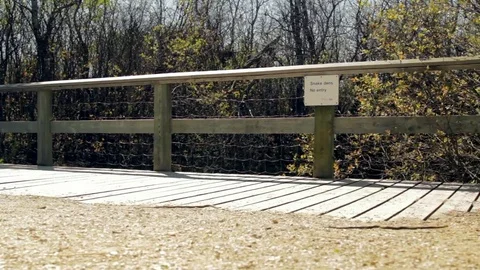 Snake Dens 059 - Snakes Go Past Den Sign | Stock Video | Pond5