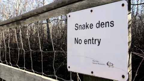 Snake Dens 068 - Snake Dens No Entry Sig... | Stock Video | Pond5