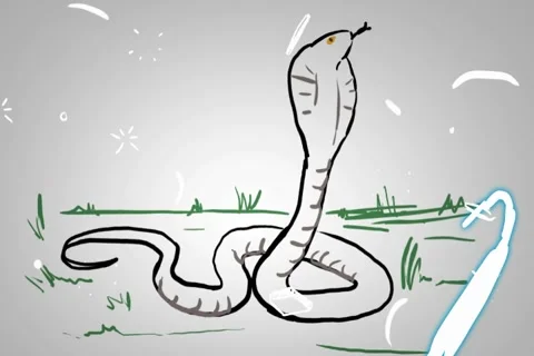 Snake - Hand Drawn - Animation - outlin... | Stock Video | Pond5