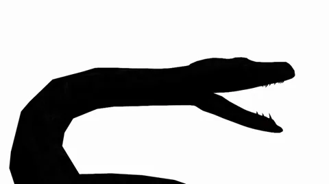 Python Opens Mouth Stock Video Footage | Royalty Free Python Opens ...