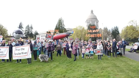 More Us Stock Videos – Royalty-Free HD & 4K Videos