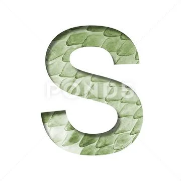 Snake scales font. The letter S cut out of paper on the background of a ...
