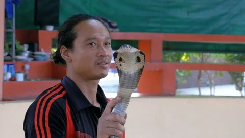 Snake Show. Snake Handler shows tricks w... | Stock Video | Pond5