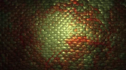 Snake Skin Stock Video Footage | Royalty Free Snake Skin Videos | Pond5