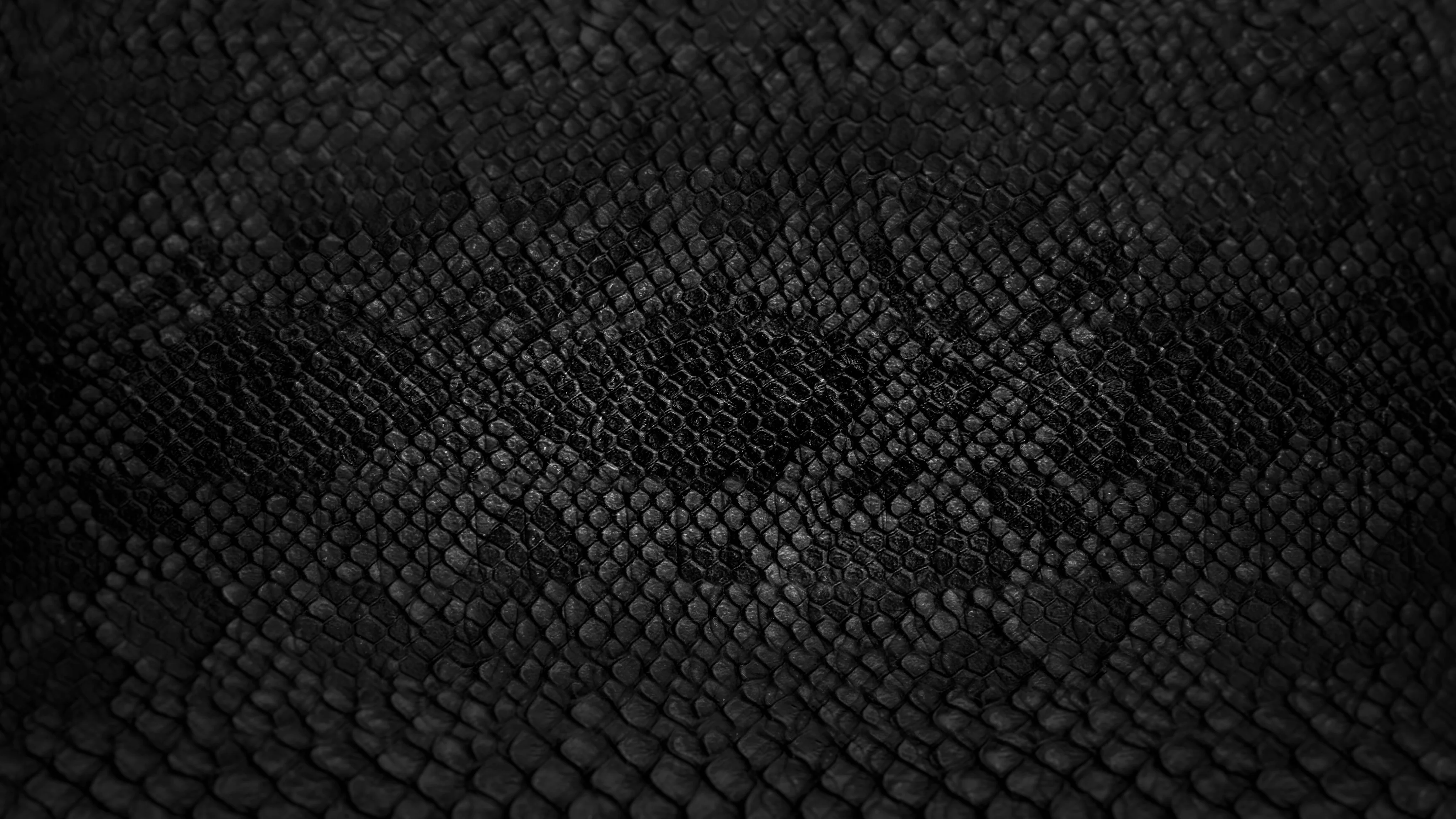 Black Snake Skin