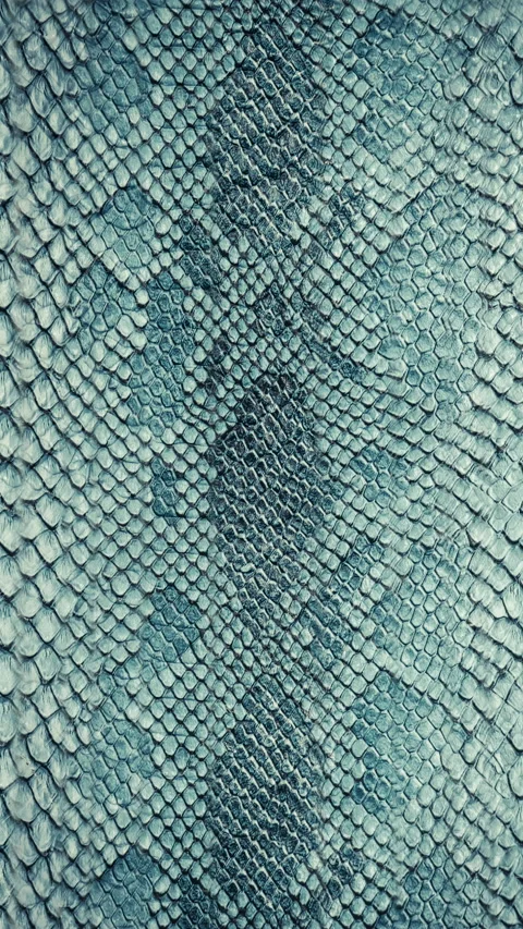 Cobra Texture Stock Video Footage | Royalty Free Cobra Texture Videos ...