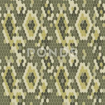 Snake skin texture. Seamless pattern python. Illustration #48389948