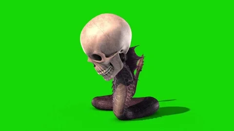 Skull Green Screen Stock Footage ~ Royalty Free Stock Videos | Pond5