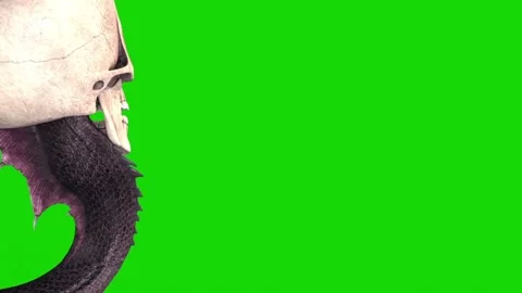 Skull Face Green Screen Stock Videos – Royalty-Free HD & 4K Videos