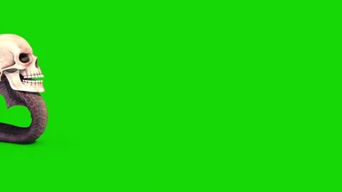 Skull Green Screen Stock Footage ~ Royalty Free Stock Videos | Pond5