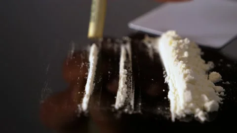 Snorting Stock Footage ~ Royalty Free Stock Videos | Pond5