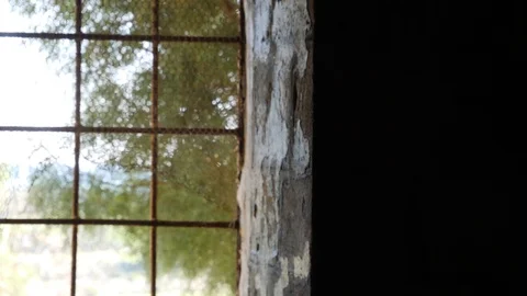 Window Snipers Stock Footage ~ Royalty Free Stock Videos | Pond5