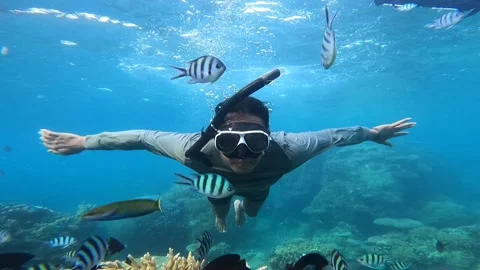 Lots A Fish Stock Videos – Royalty-Free HD & 4K Videos | Pond5